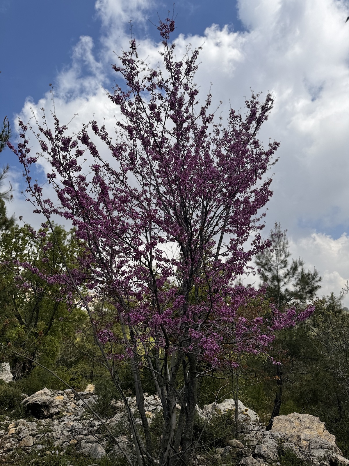 Science Wonderland – Neo Vision College